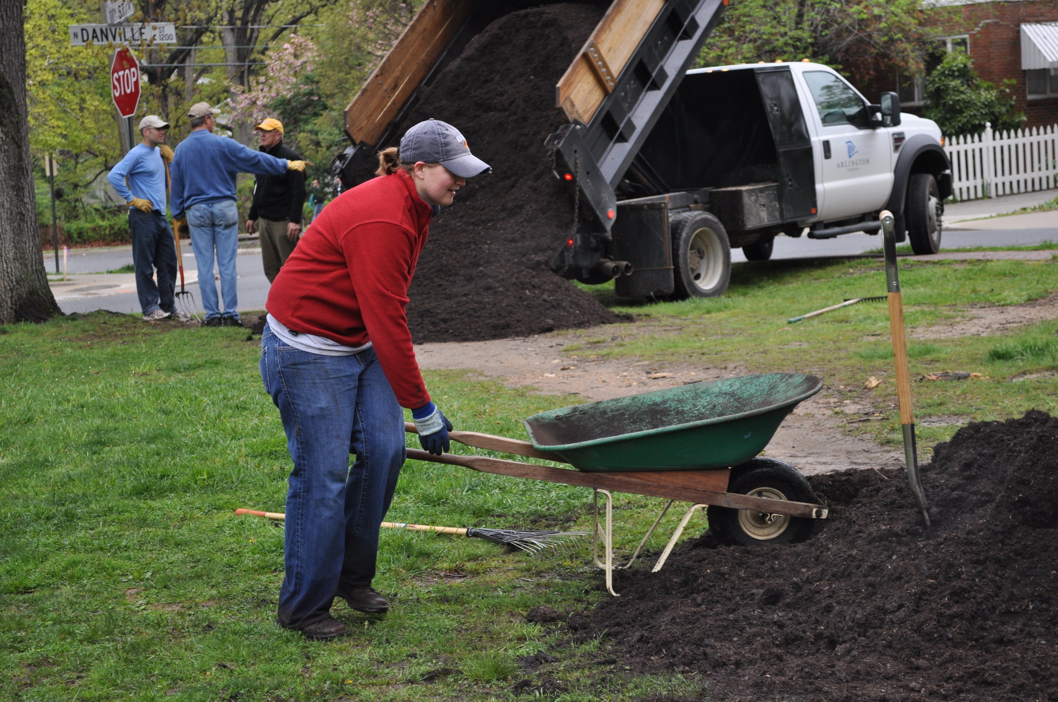 TreeSteward Helps | TreeStewards.org