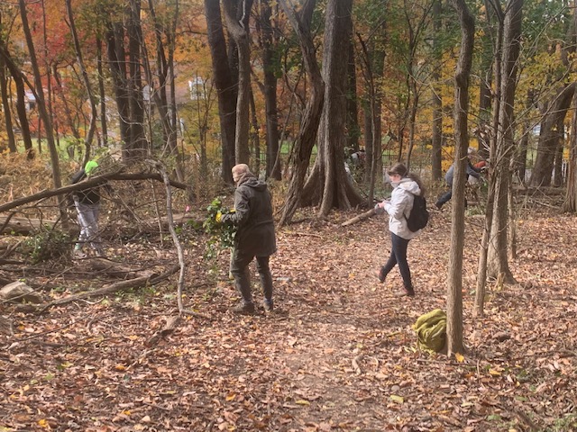 Tree Stewards Activities from Fall 2021 | TreeStewards.org